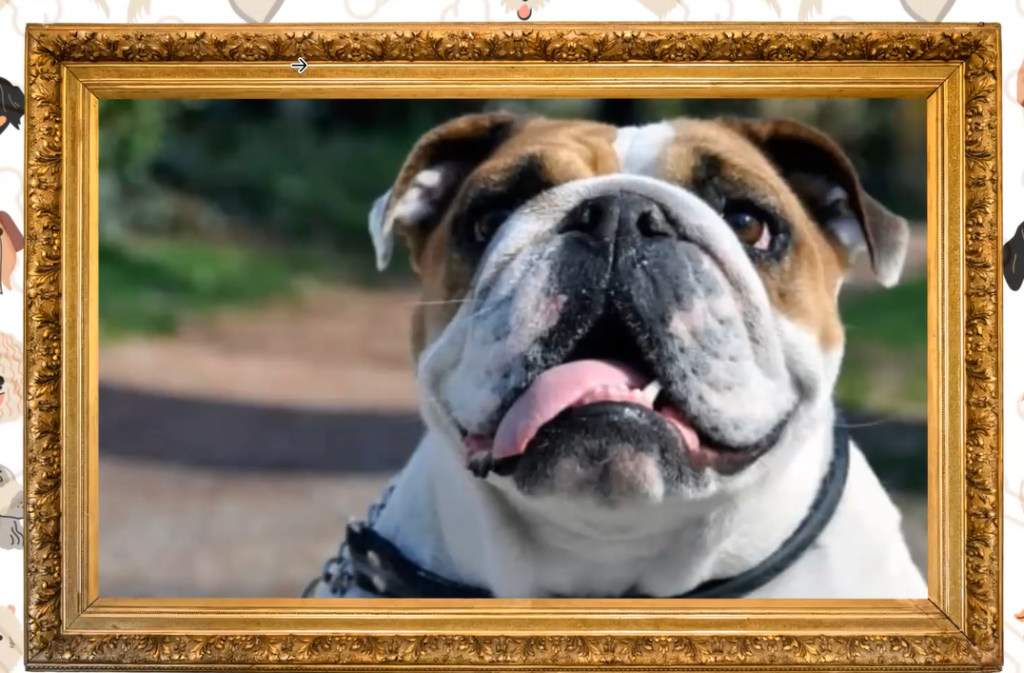 tim test – Climate Clever